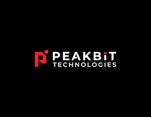 Custom Software Development For Your Business | PeakBit